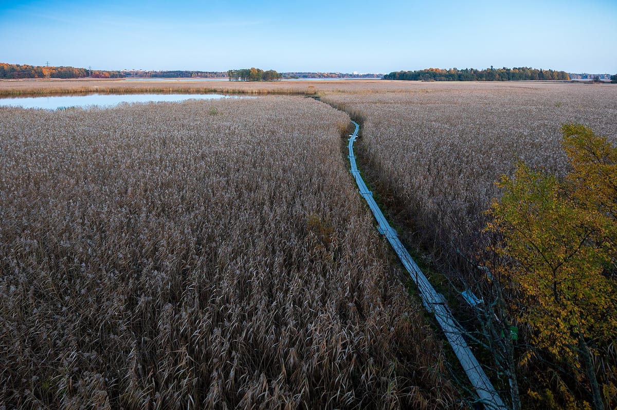 Viikinrannan Kaupunginosayhdistys