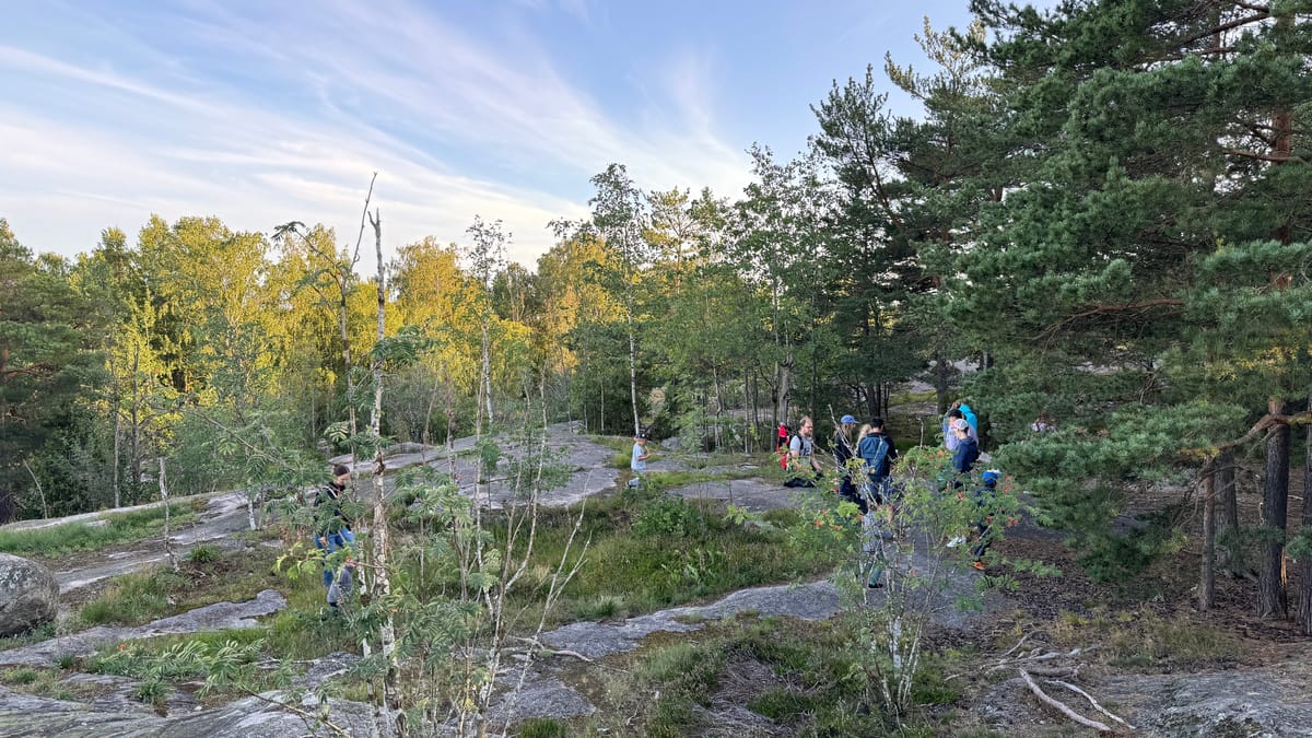 Viikinrannan Kaupunginosayhdistys